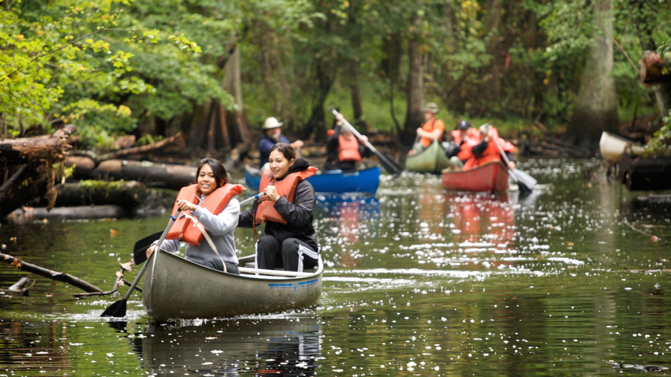 Tourism Marketing: A Collaborative Approach - Travel Alliance Partnership